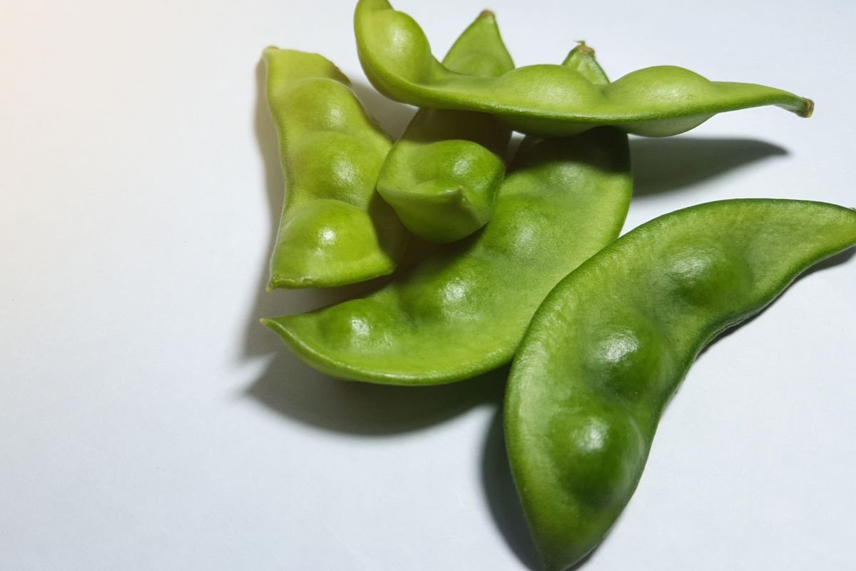O que é guandu e por que inseri-lo na sua alimentação? - Blog do Pão