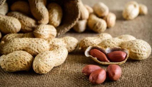 O Que São Oleaginosas? Conheça Esse Alimento Nutritivo - Blog Do Pão