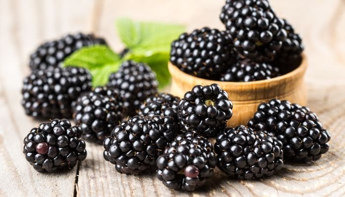 Frutas Cítricas: Saiba Quais São Elas - Blog Do Pão